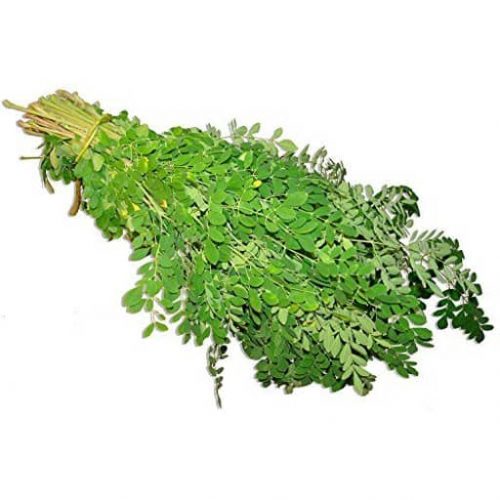 Drumstick Leaf 1 Bunch (Muringayila) - My Online Vipani