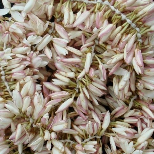 Jasmine Flower(Pichi Poo) Garland 1feet - My Online Vipani