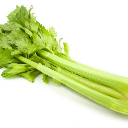 Celery Each - My Online Vipani