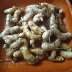 My Online Vipani - Cut Vegetables and Grocery Home Delivery in Trivandrum